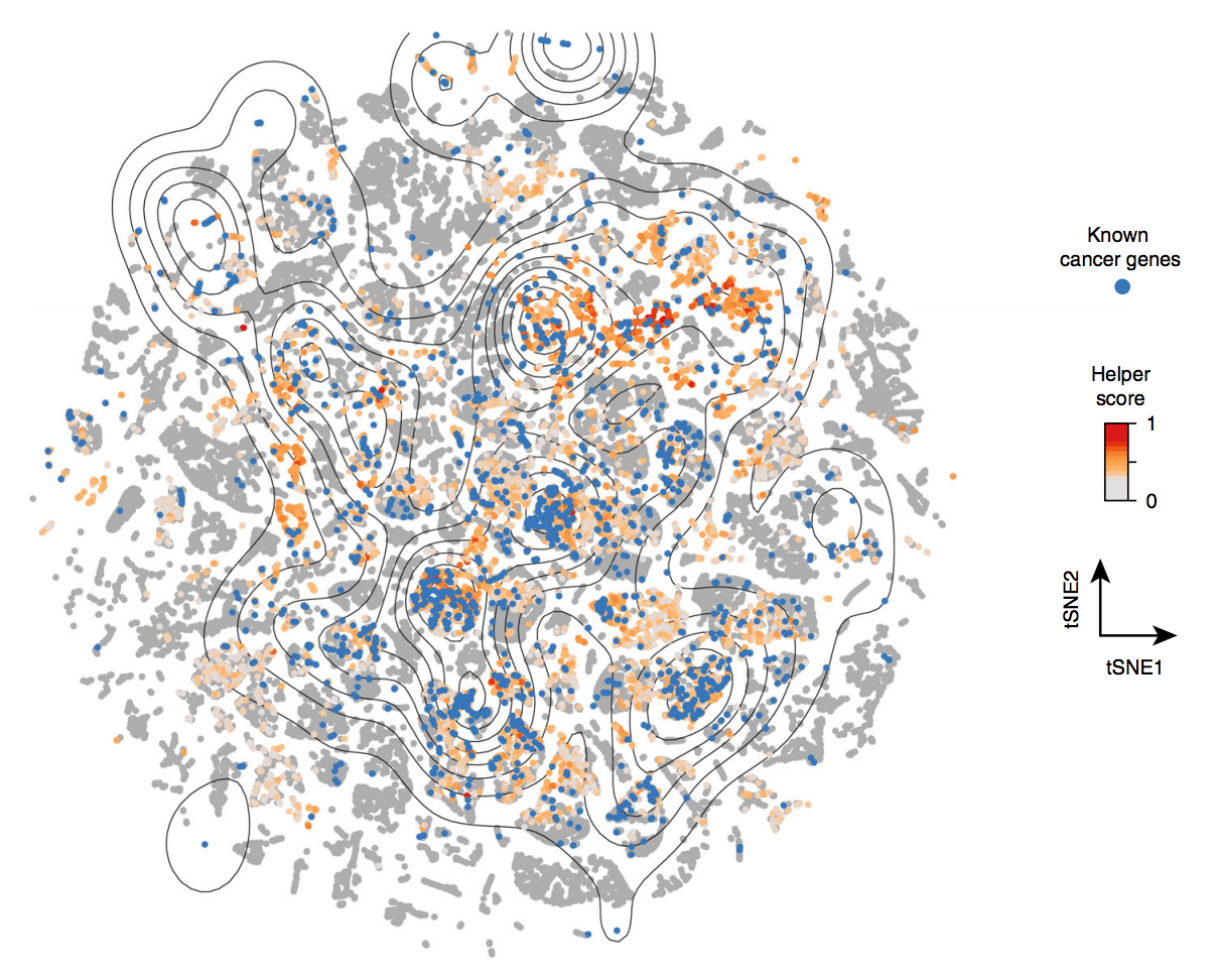 Precision Medicine And Individual Level Cancer Driver Genes Yau