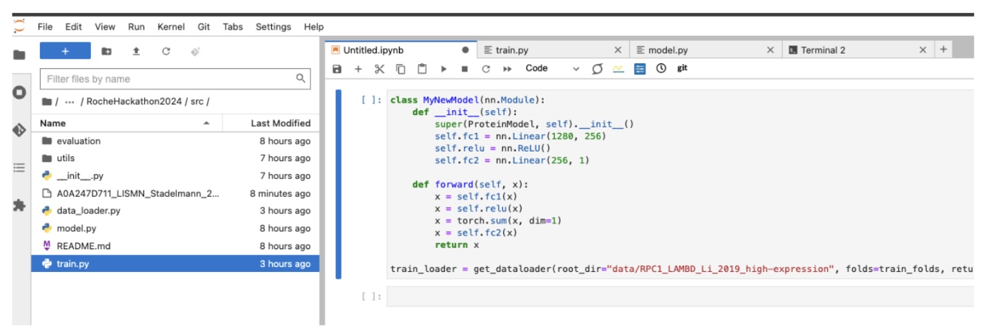 Different ways of developing in Saturn Cloud | HDRUK-Roche Hackathon 2024