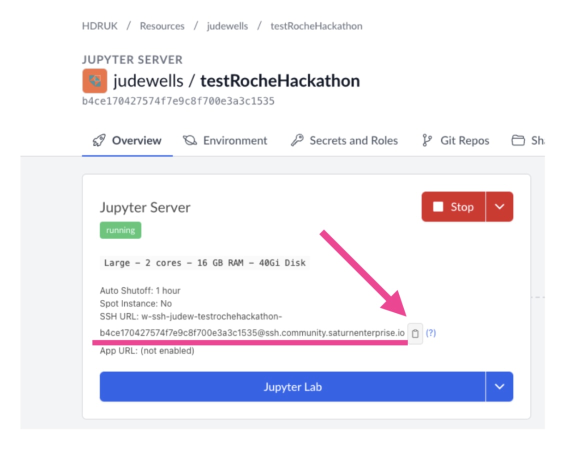 Different ways of developing in Saturn Cloud | HDRUK-Roche Hackathon 2024
